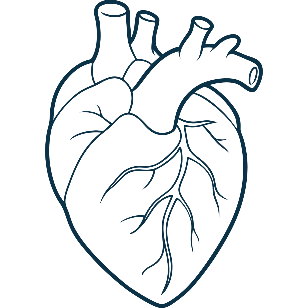 Becker Overview : Becker Muscular Dystrophy
