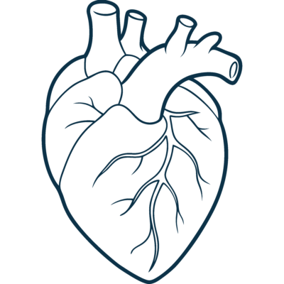 Becker Overview : Becker Muscular Dystrophy
